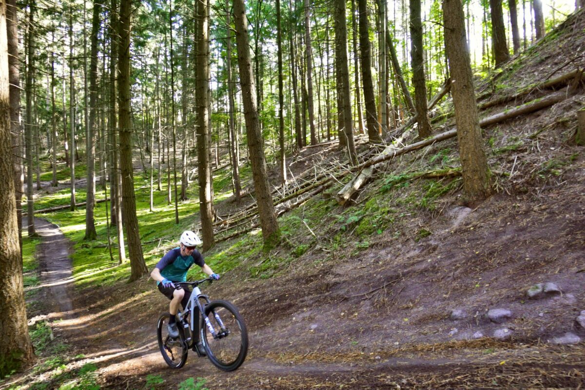 All-Mountain EMTB´s: A buyers guide - emtb-test.com