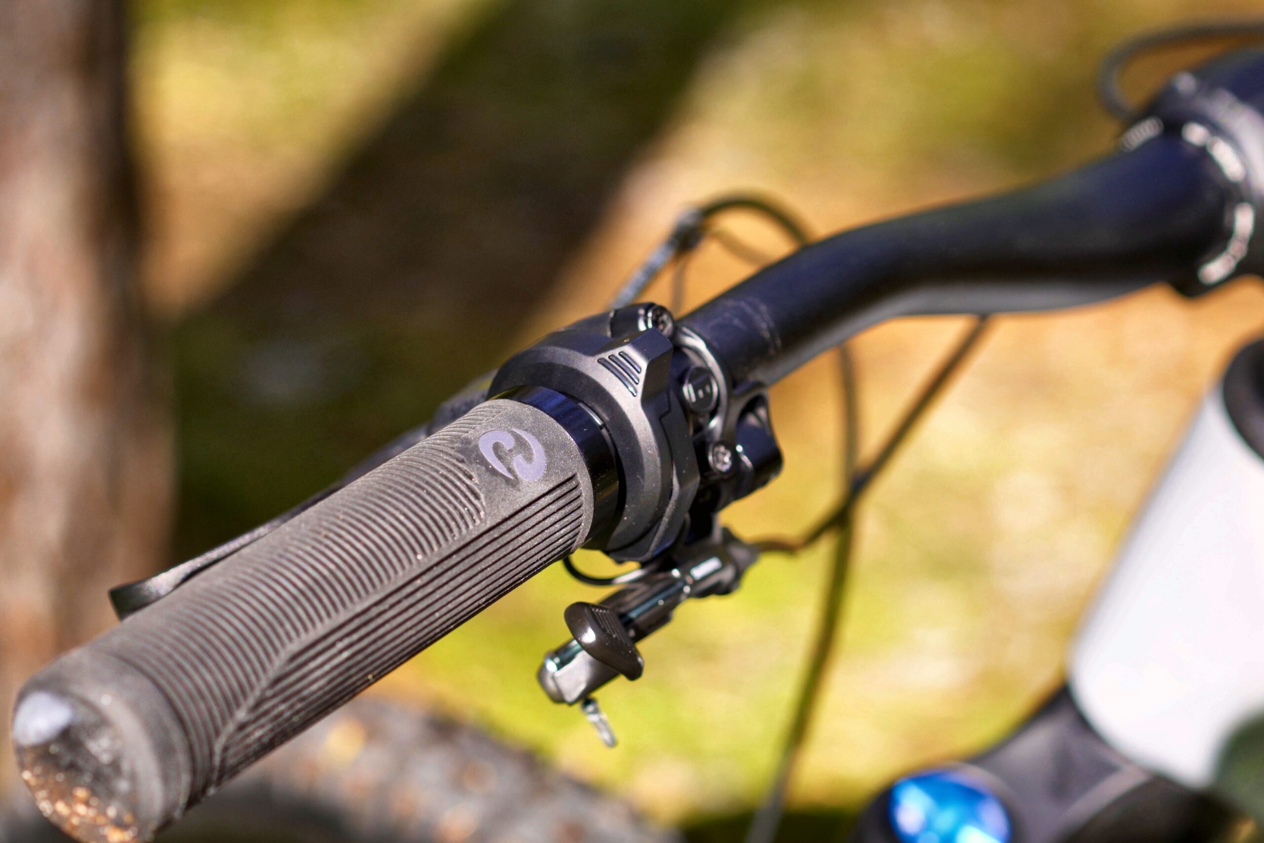 Das Focus Jam² SL im Test